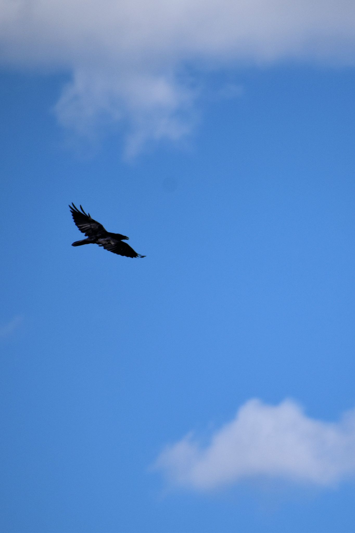 I’m back! – Eppic Sally Arts